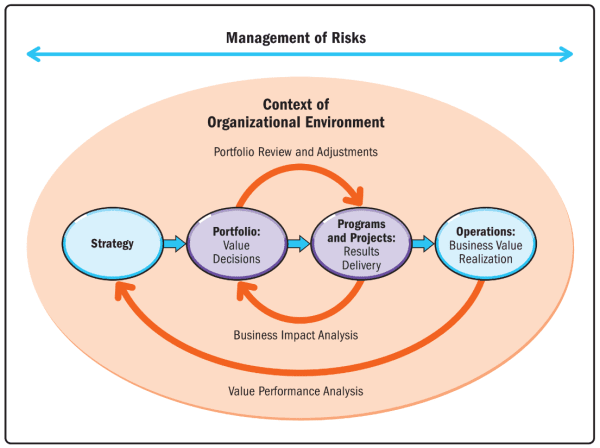 PMI's New Risk Management Practice Guide
