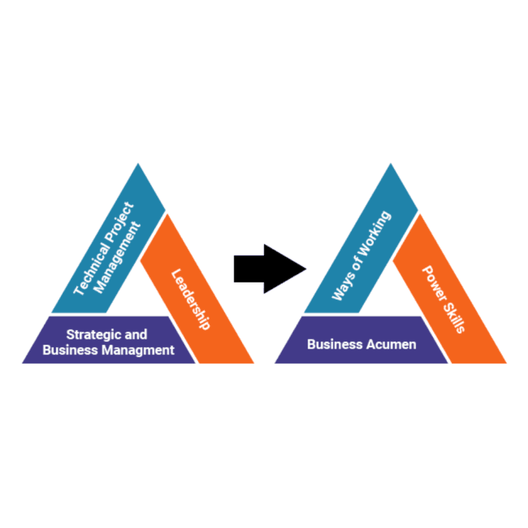 Why We Use a PMI Talent Triangle - The Risk Blog